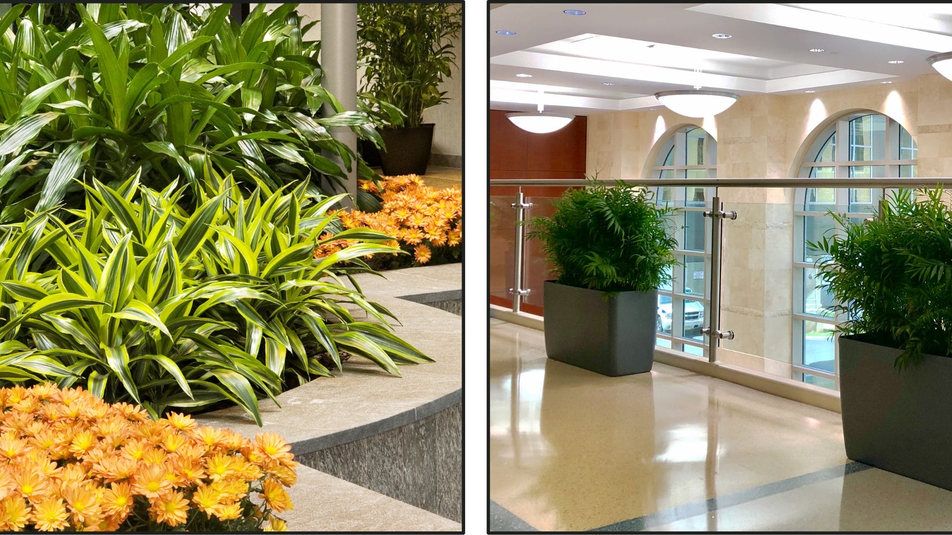 The Impact of Biophilic Design on Retail Spaces - Raimondi ...